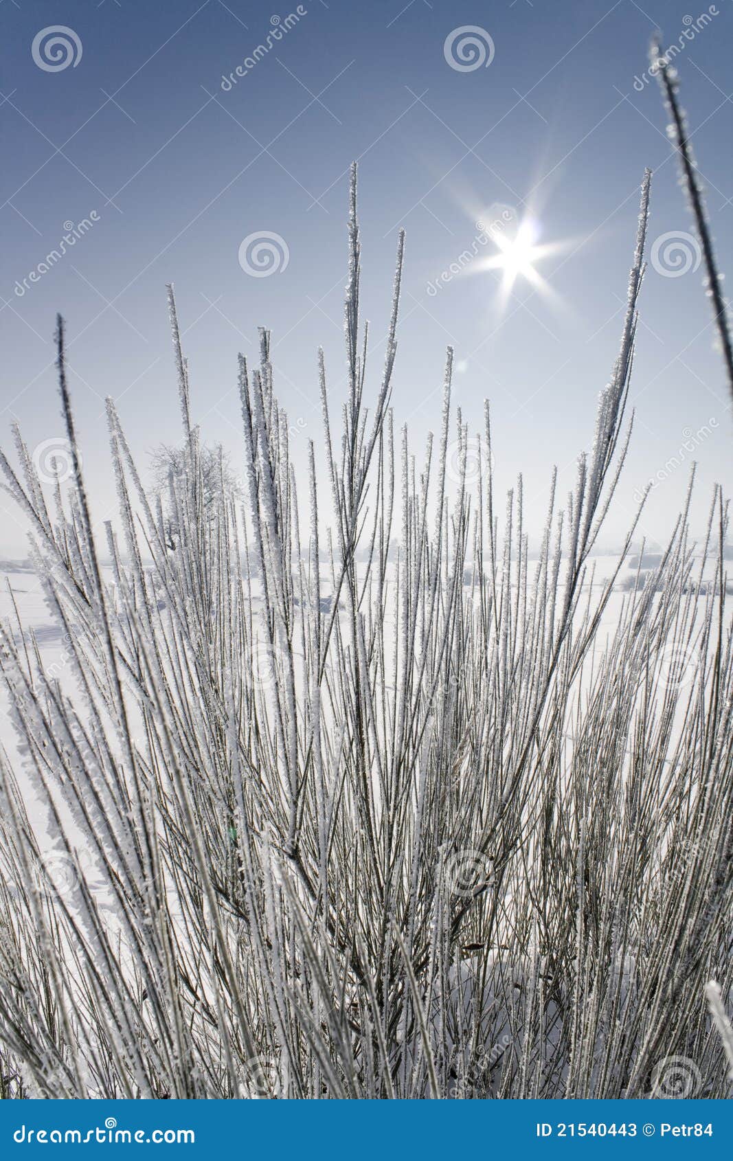 Winter sun stock image. Image of majestic, landscape - 21540443