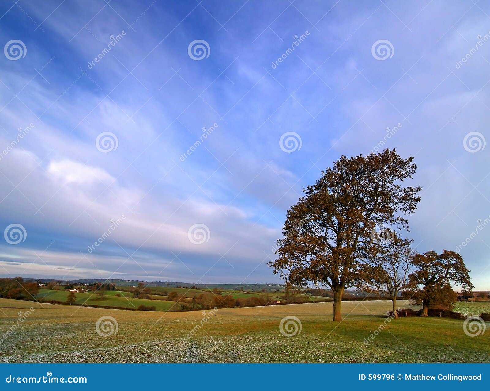Winter Sun stock photo. Image of weather, nature, land - 599796