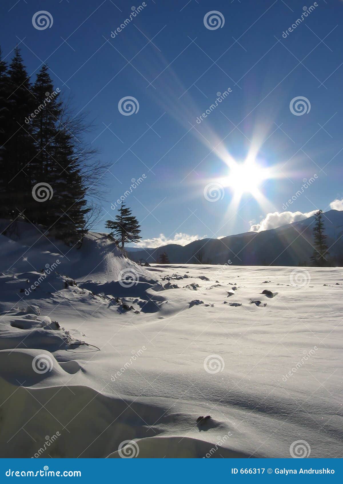 Winter sun stock image. Image of mountainering, tree, activity - 666317
