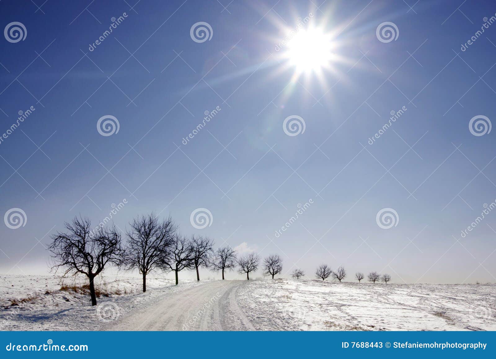Winter sun stock image. Image of landscape, blue, christmas - 7688443