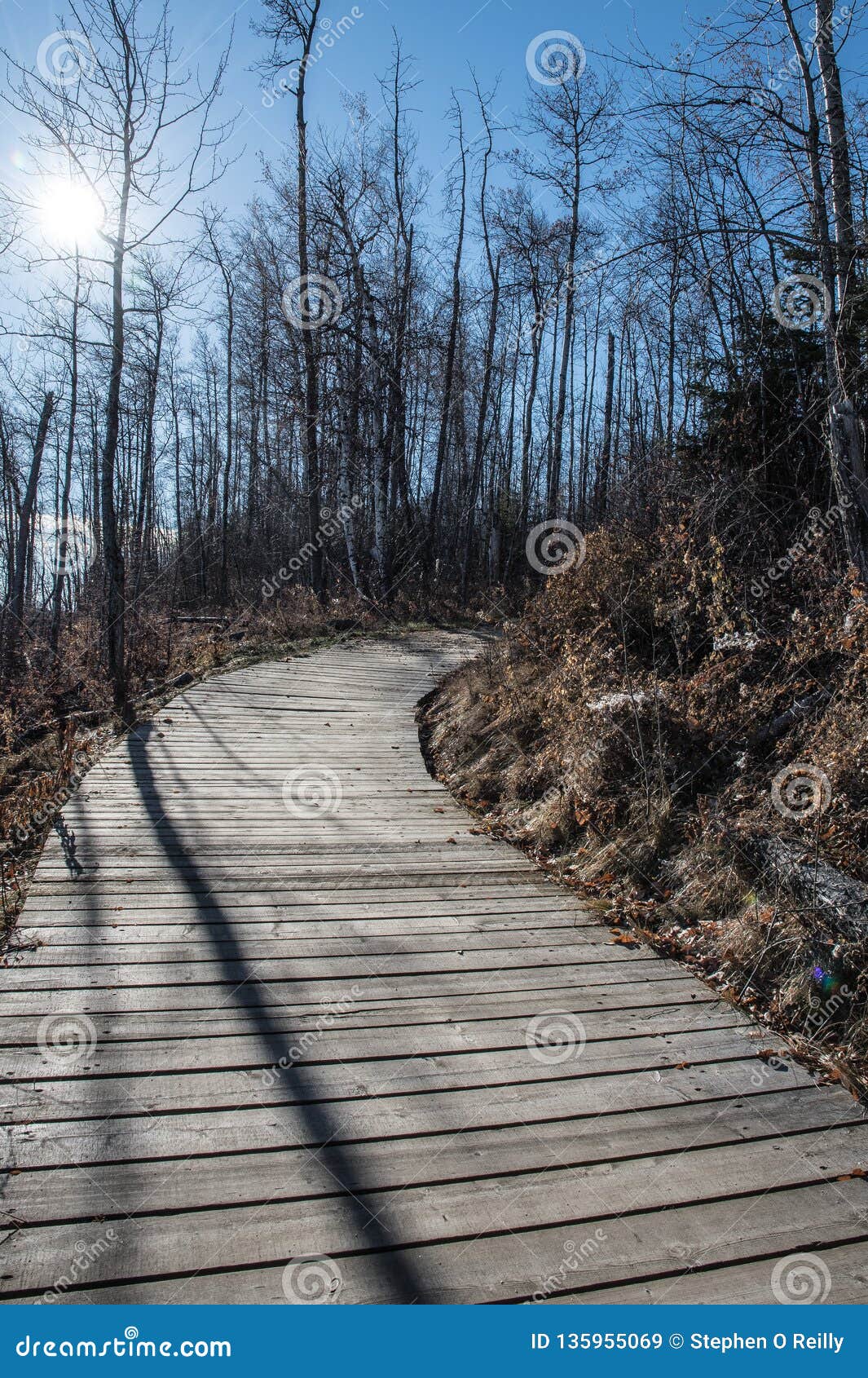Winter Sun on the Boardwalk Stock Image - Image of clear, gregoire ...