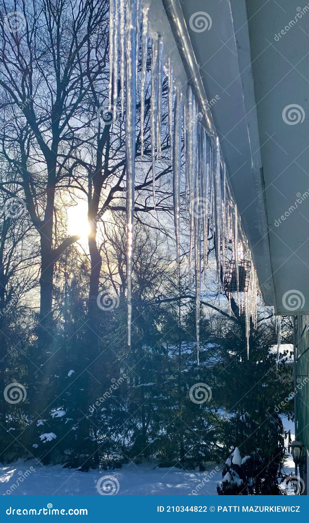 Winter sun through icicles stock photo. Image of scene - 210344822