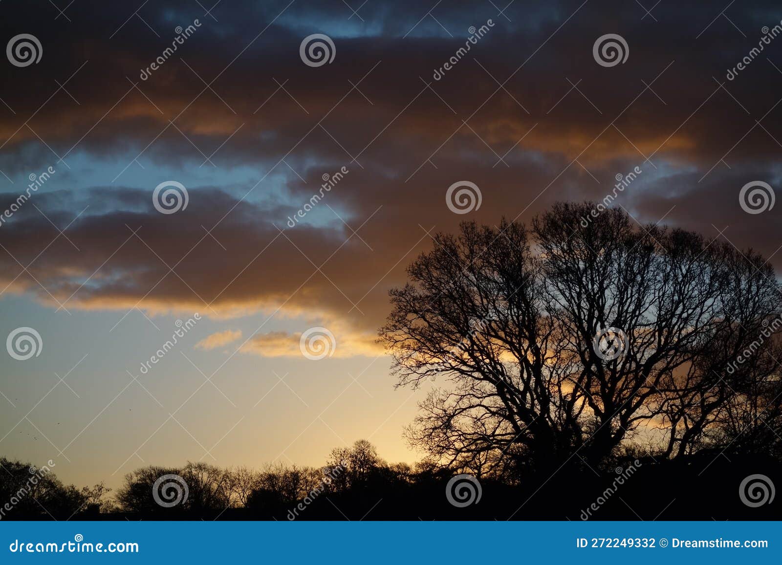 Winter Sun Rising Behind the Tree and through the Clouds Stock Photo ...