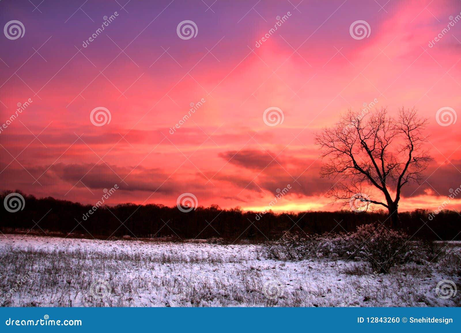 Winter sun set stock photo. Image of blue, snow, frosty - 12843260