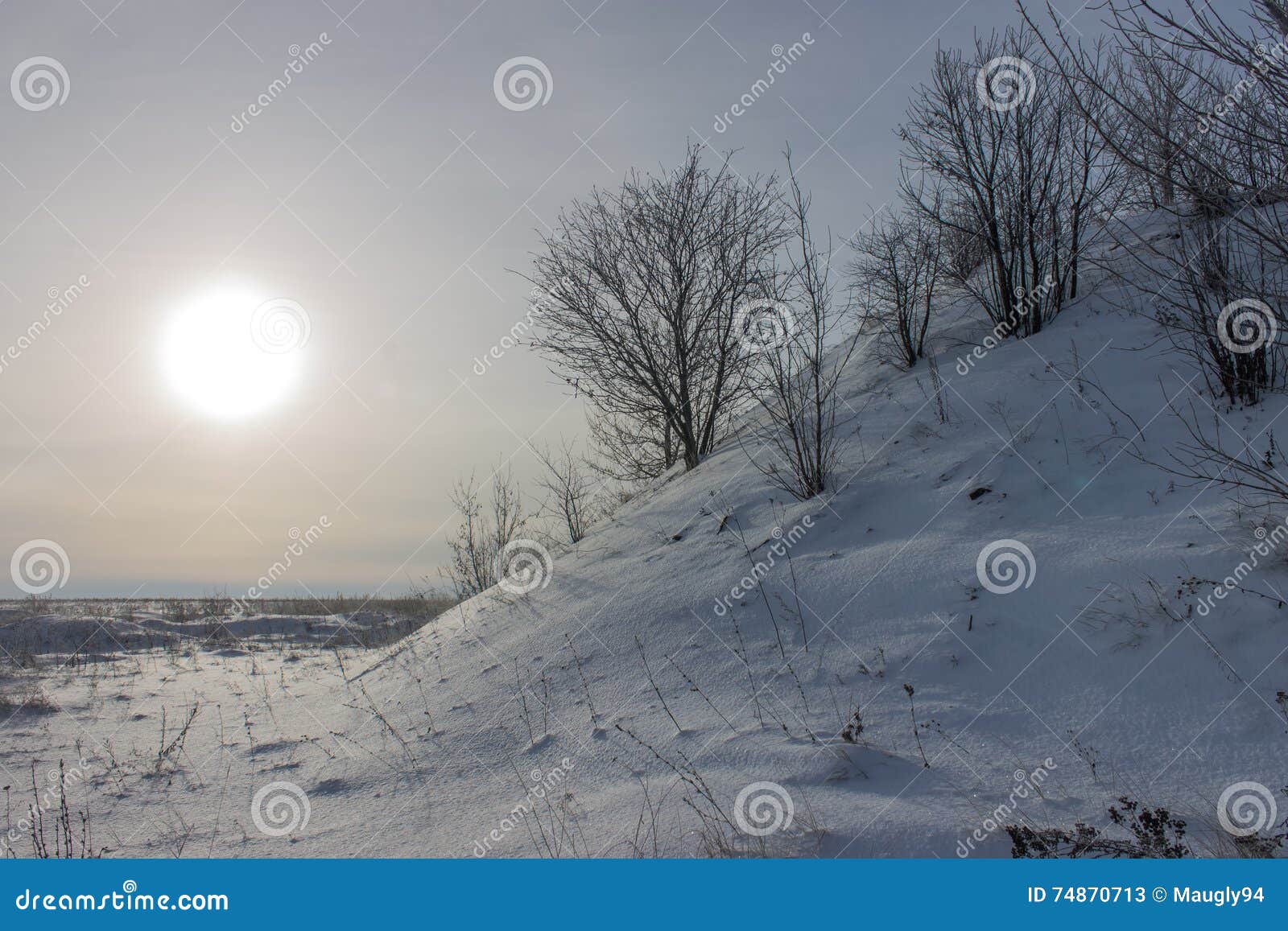 The Winter Sun and the Snow-covered Hill with Trees. Stock Image ...