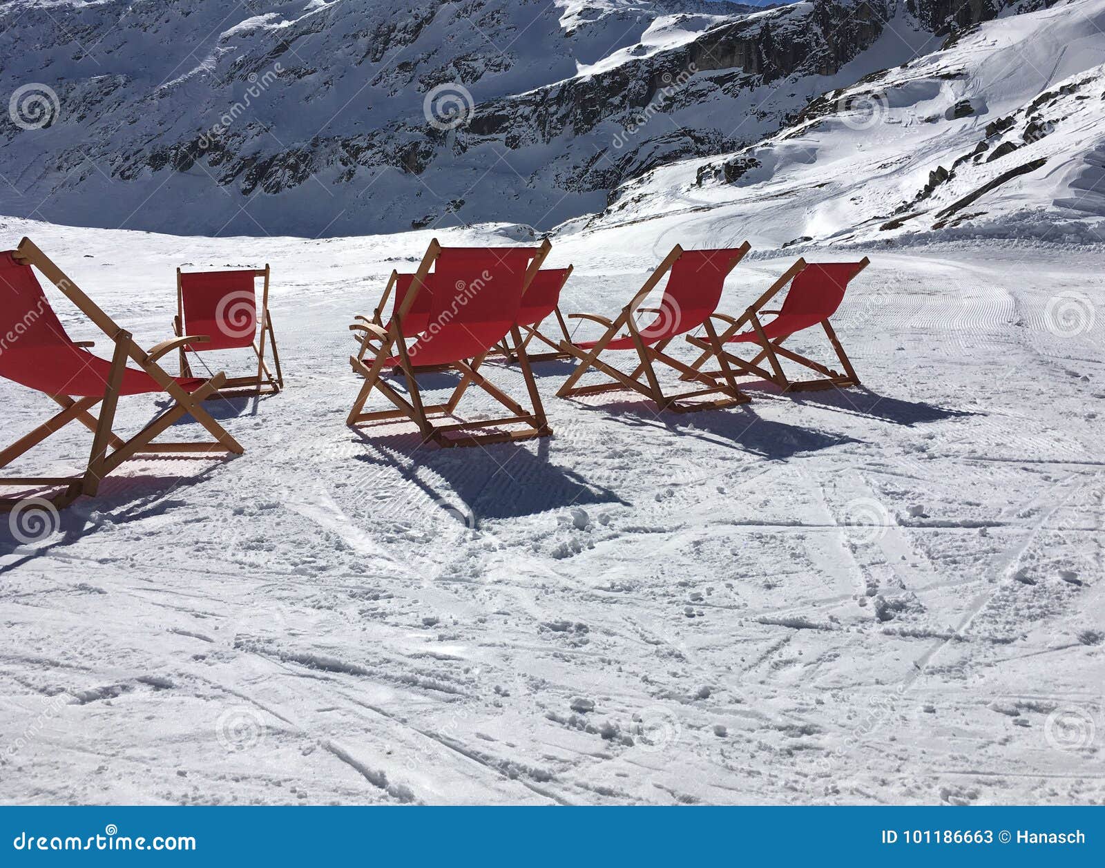 Winter sunbathing stock image. Image of orange, frost - 101186663