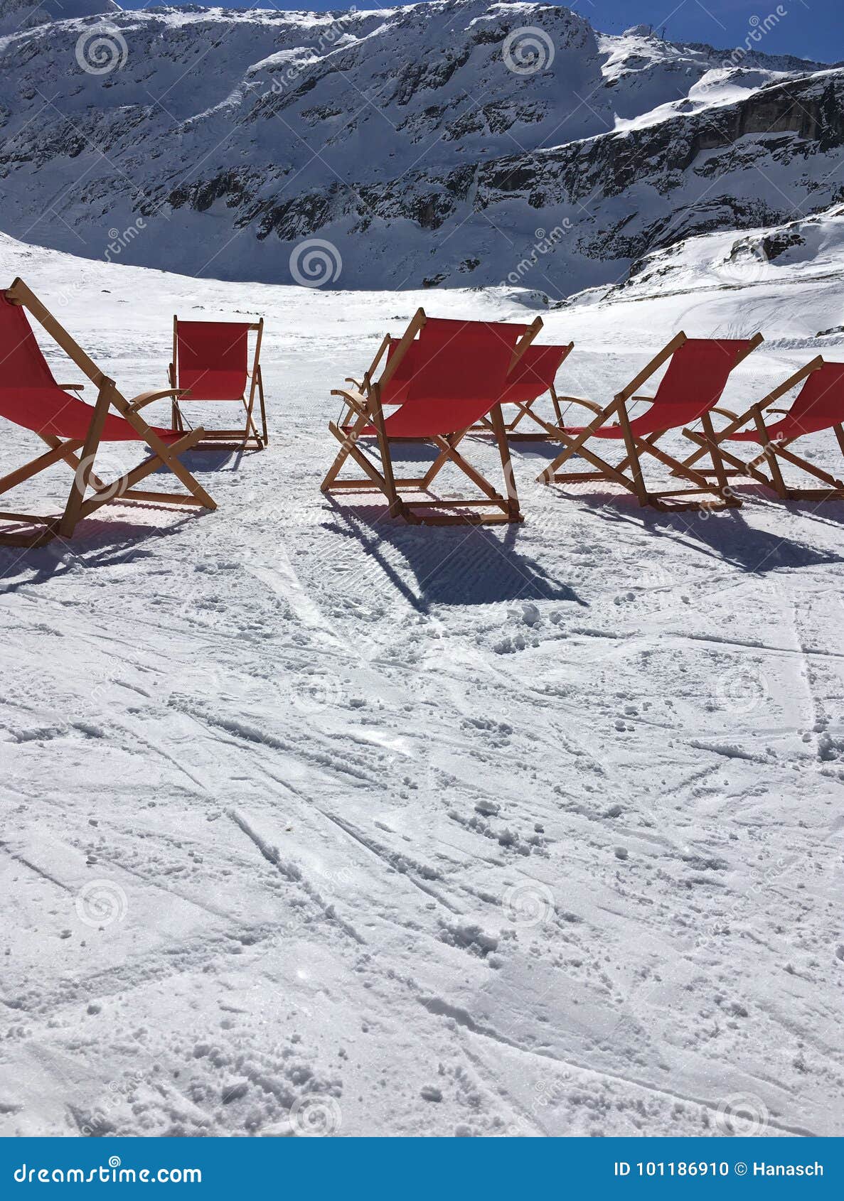 Winter sunbathing stock photo. Image of orange, sunglasses - 101186910