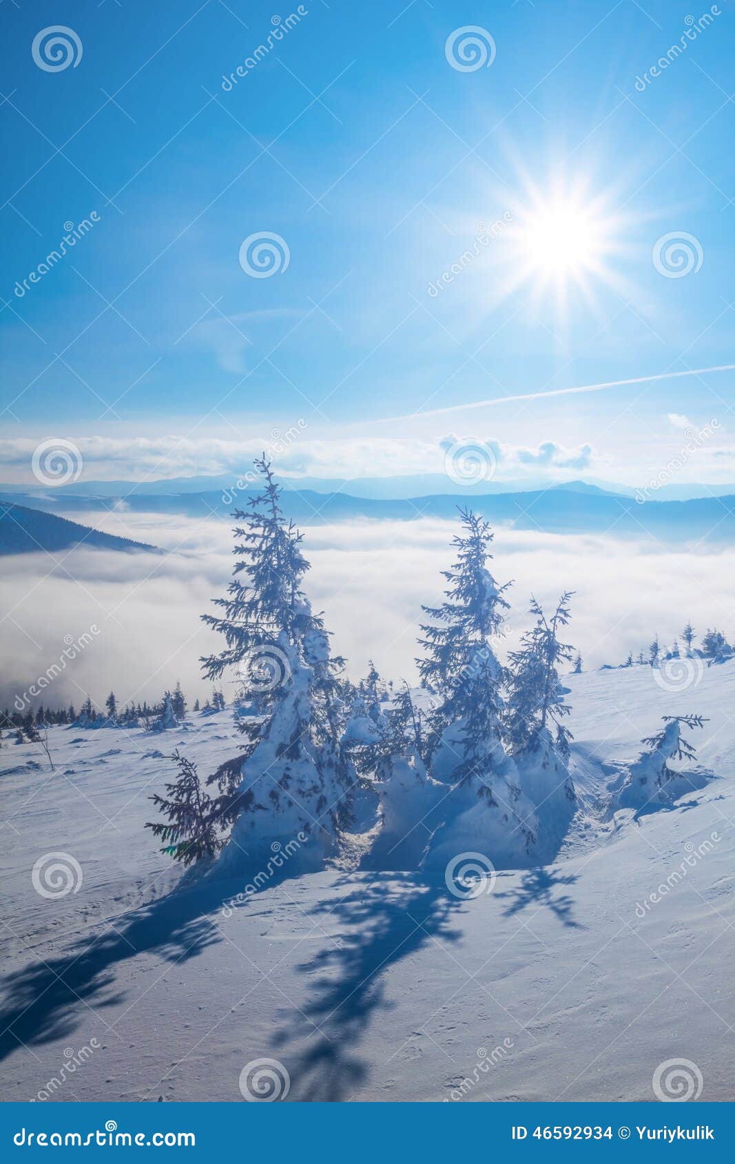 Winter sunny day scene stock photo. Image of freezing - 46592934