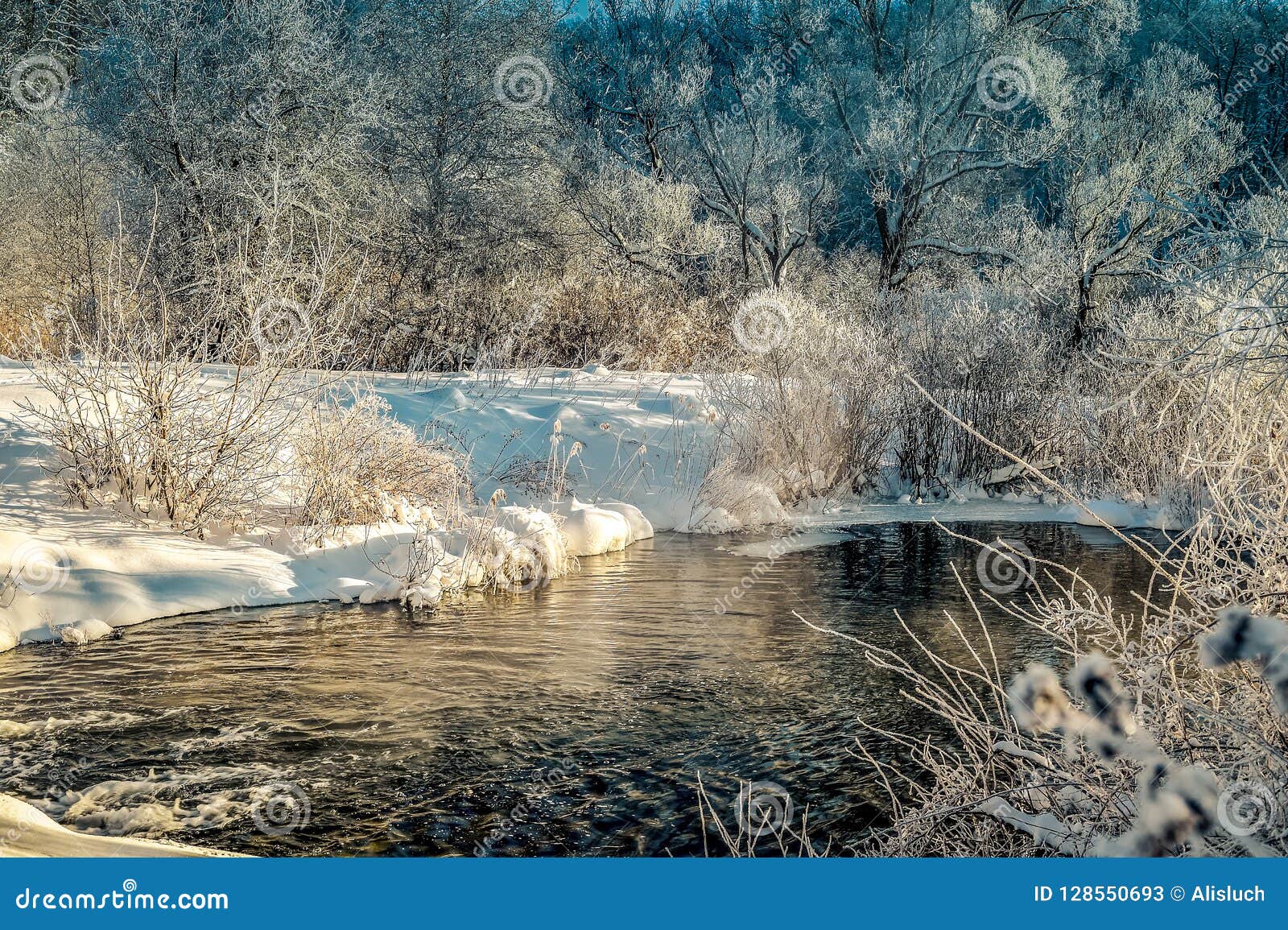 Winter Sunny Landscape with River and Forest Stock Image - Image of ...