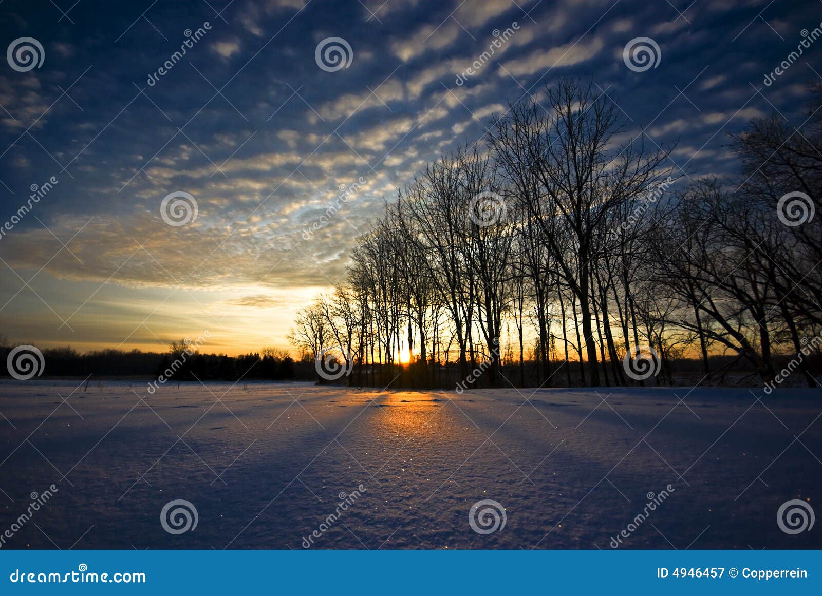 Winter Sunrise stock image. Image of winter, landscape - 4946457