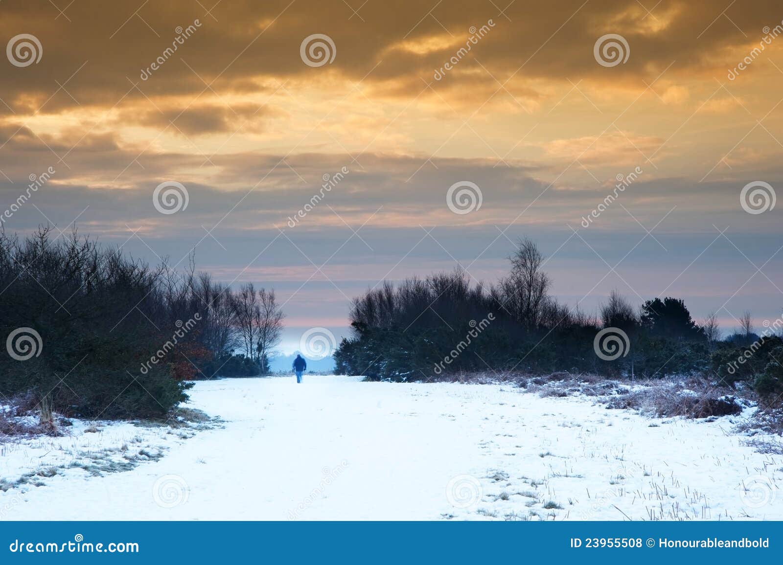 Winter Sunrise Landscape Over Snow Covered Path Stock Photo - Image of ...