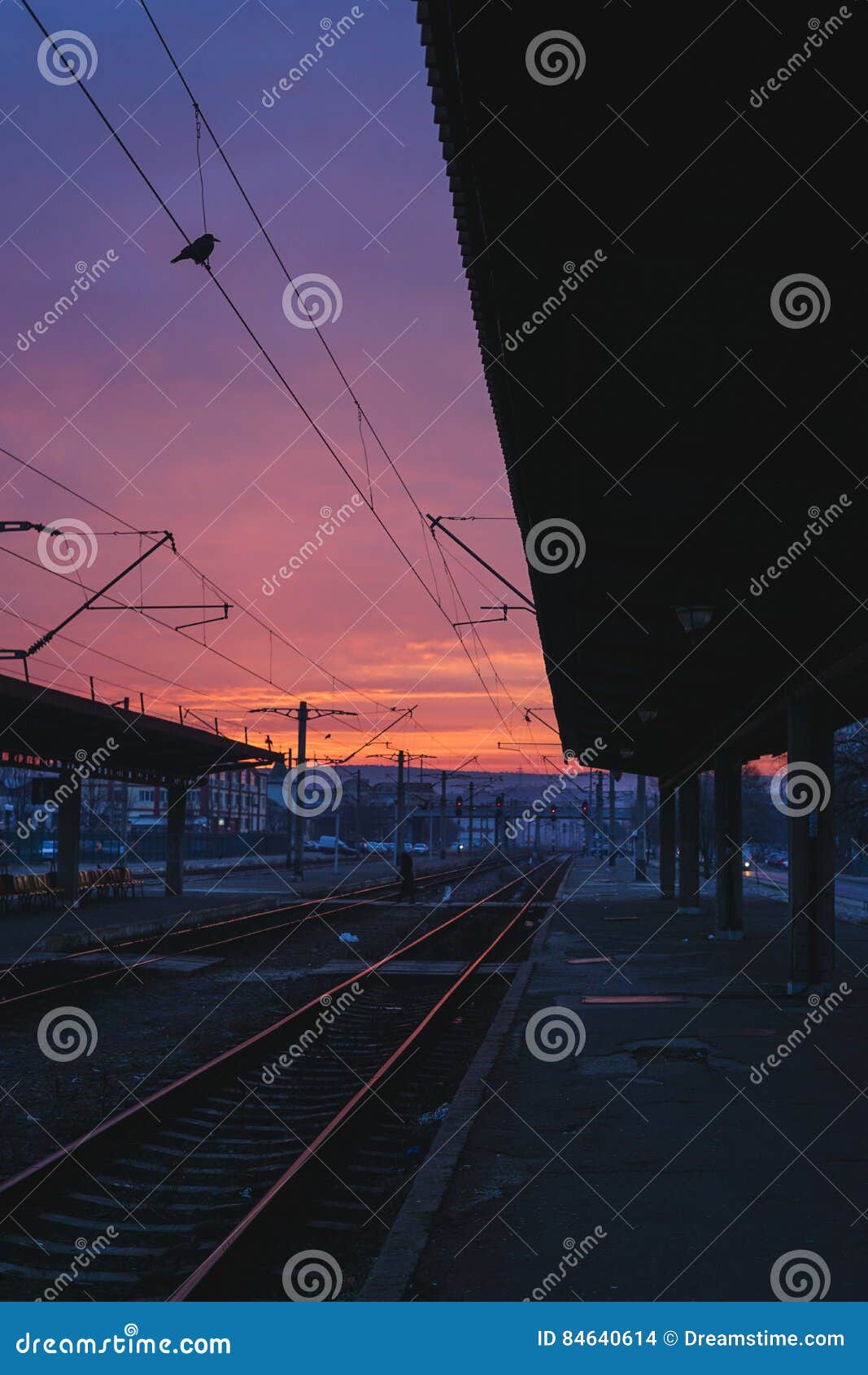 Winter Sunrise at the Train Station Stock Photo - Image of crow, cold ...