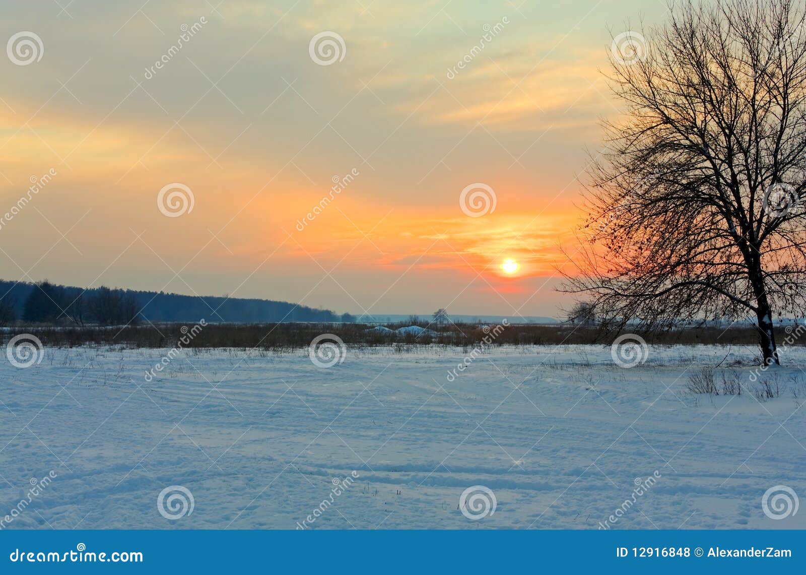 Winter sunset stock photo. Image of country, beauty, glow - 12916848