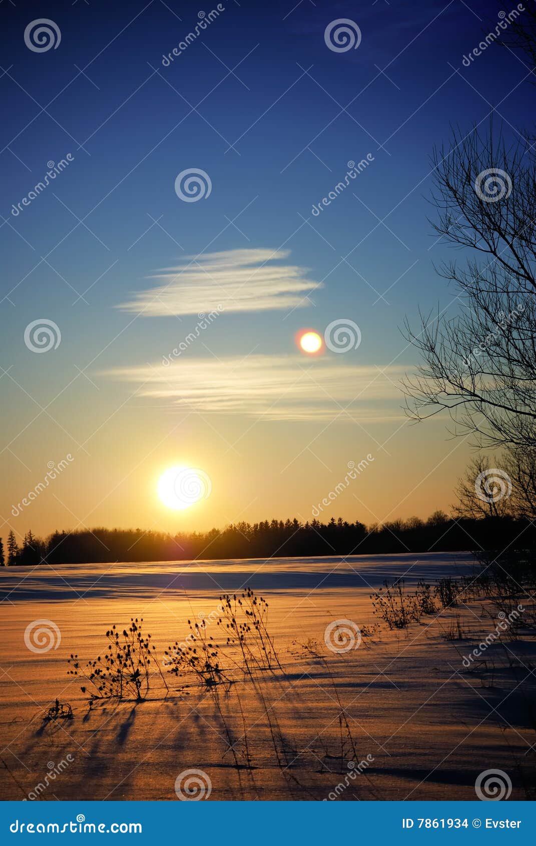Winter Sunset stock photo. Image of lonely, beauty, blue - 7861934
