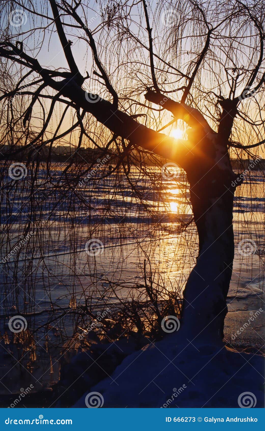 Winter Sunset on the Dniepr River Stock Image - Image of tree, river ...
