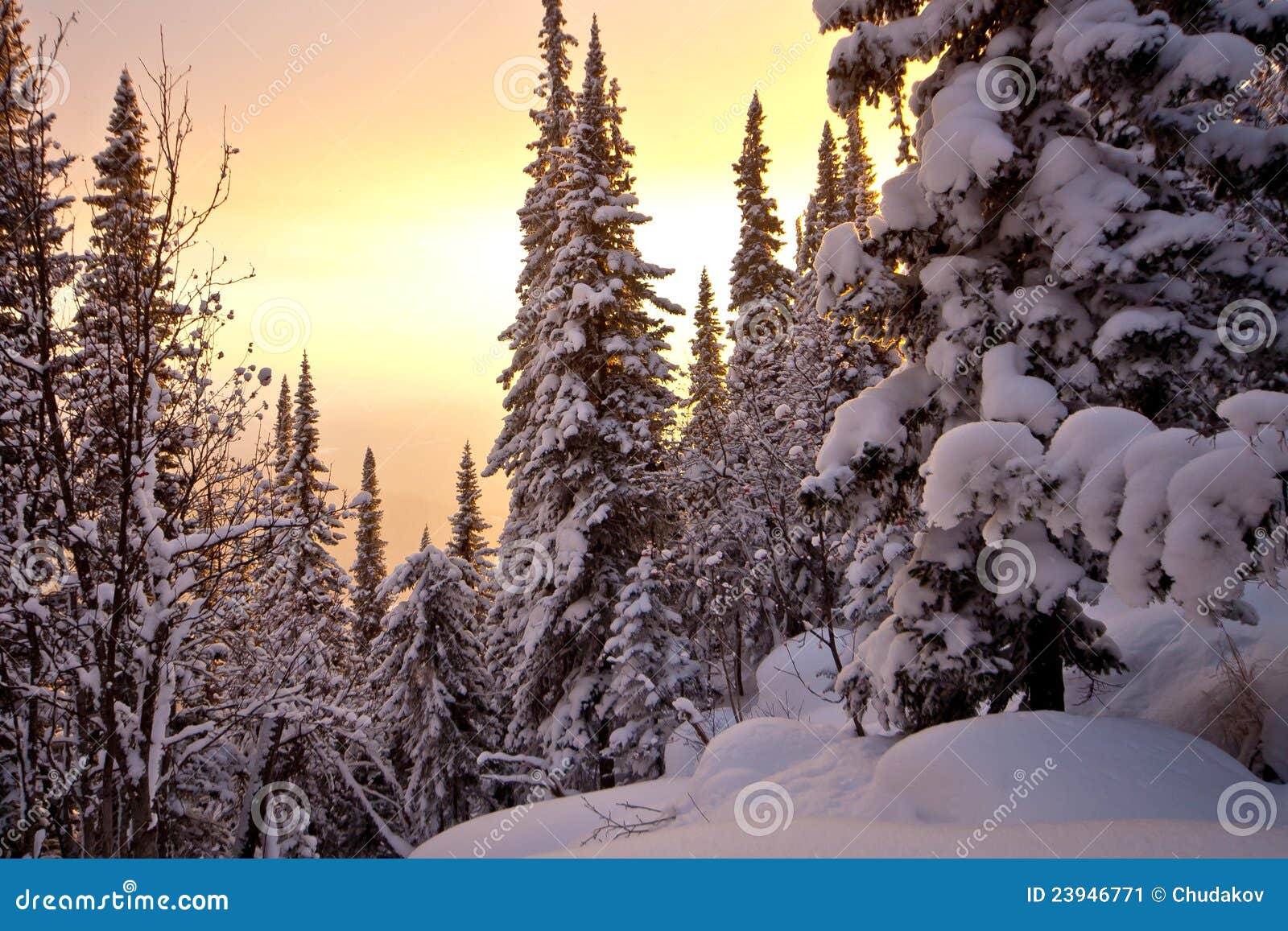 Winter Sunset in the Forest Stock Image - Image of light, mountains ...