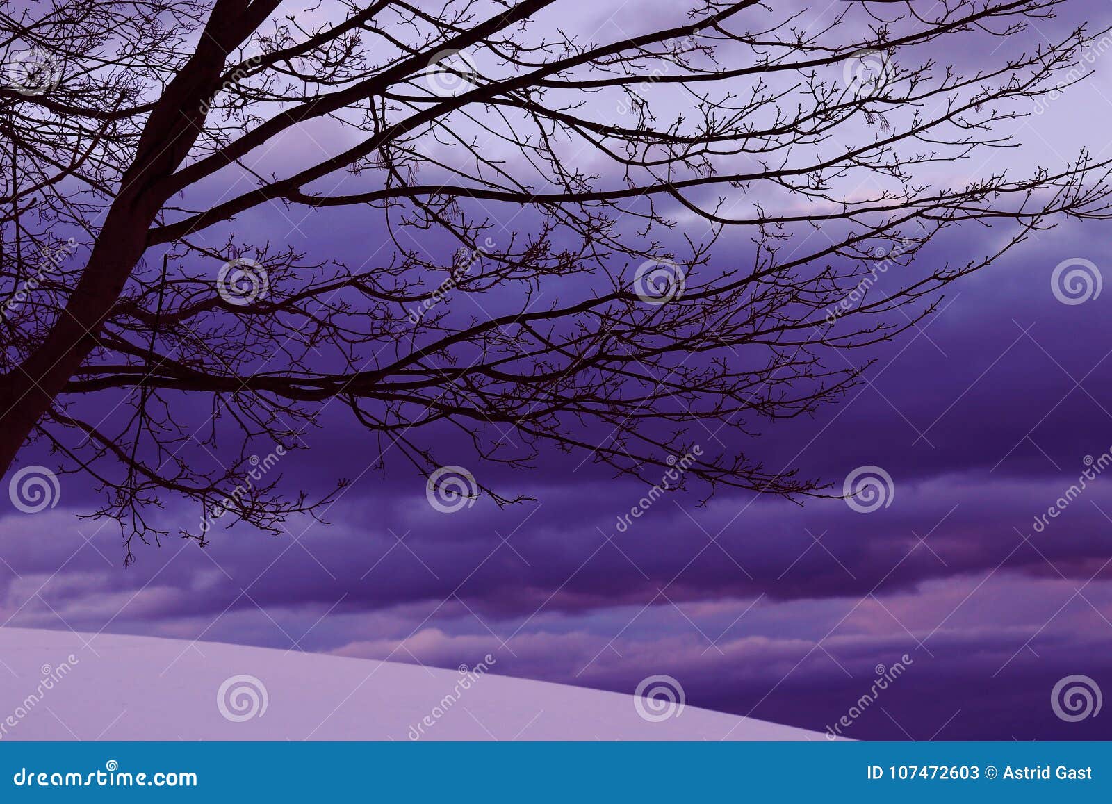 Winter Sunset in Front of a Cloudy Sky with a Tree in Ultra Violet ...