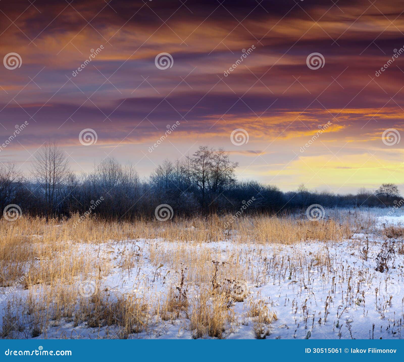 Winter sunset stock image. Image of sunlight, frost, tranquil - 30515061