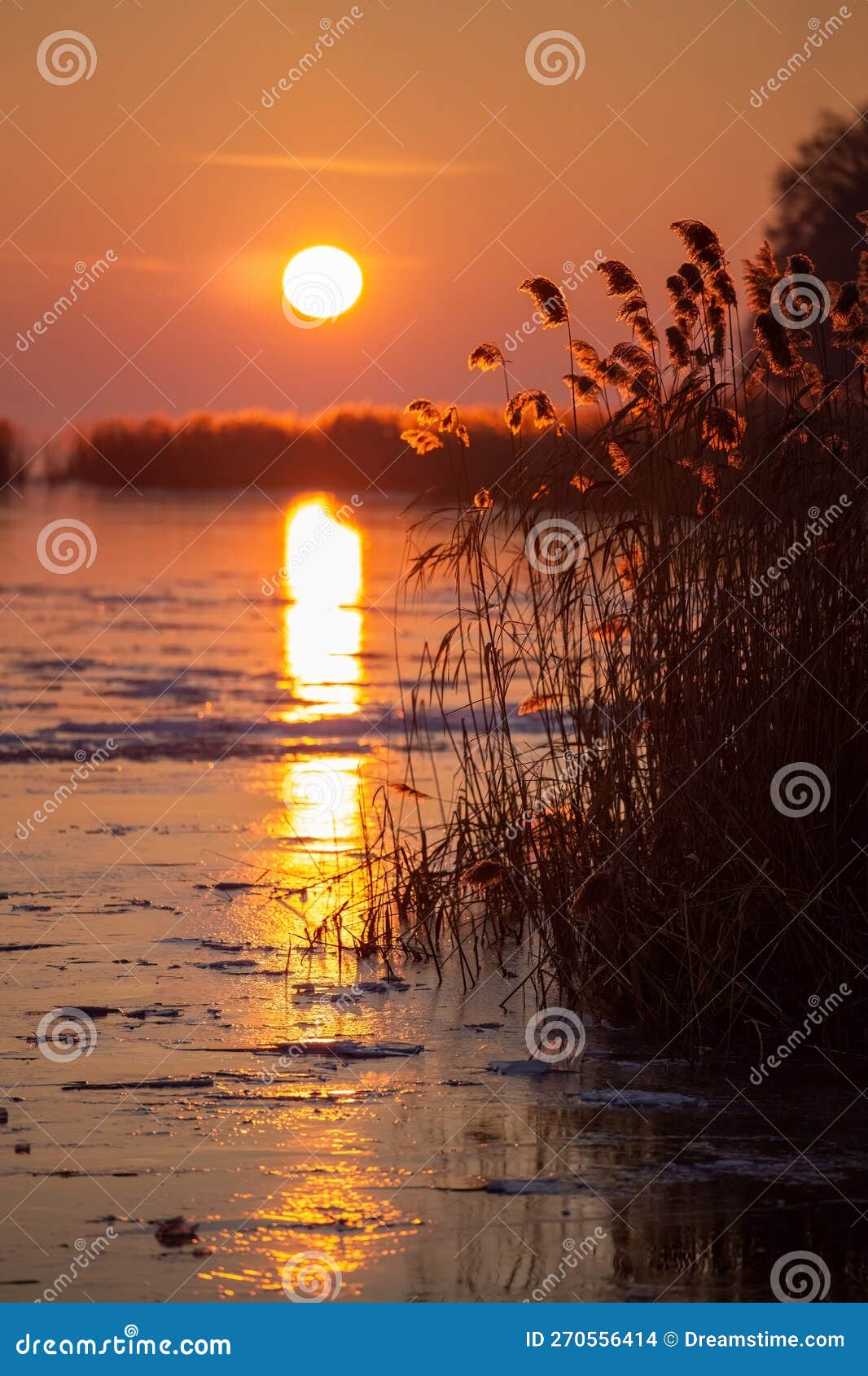 Winter Sunset Over the Lake Balaton of Hungary Stock Photo - Image of ...