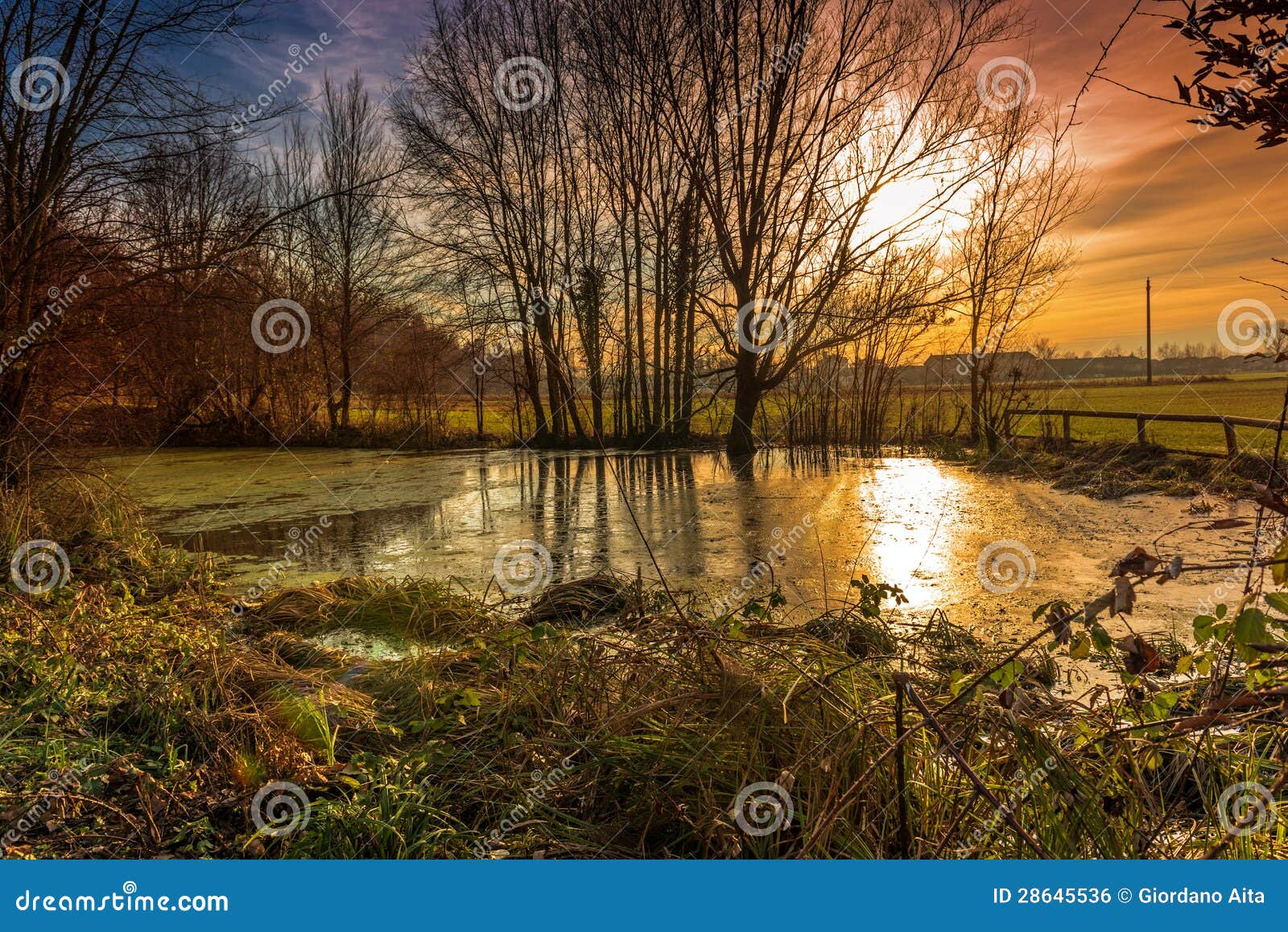 Winter sunset on pond stock photo. Image of country, sunset - 28645536