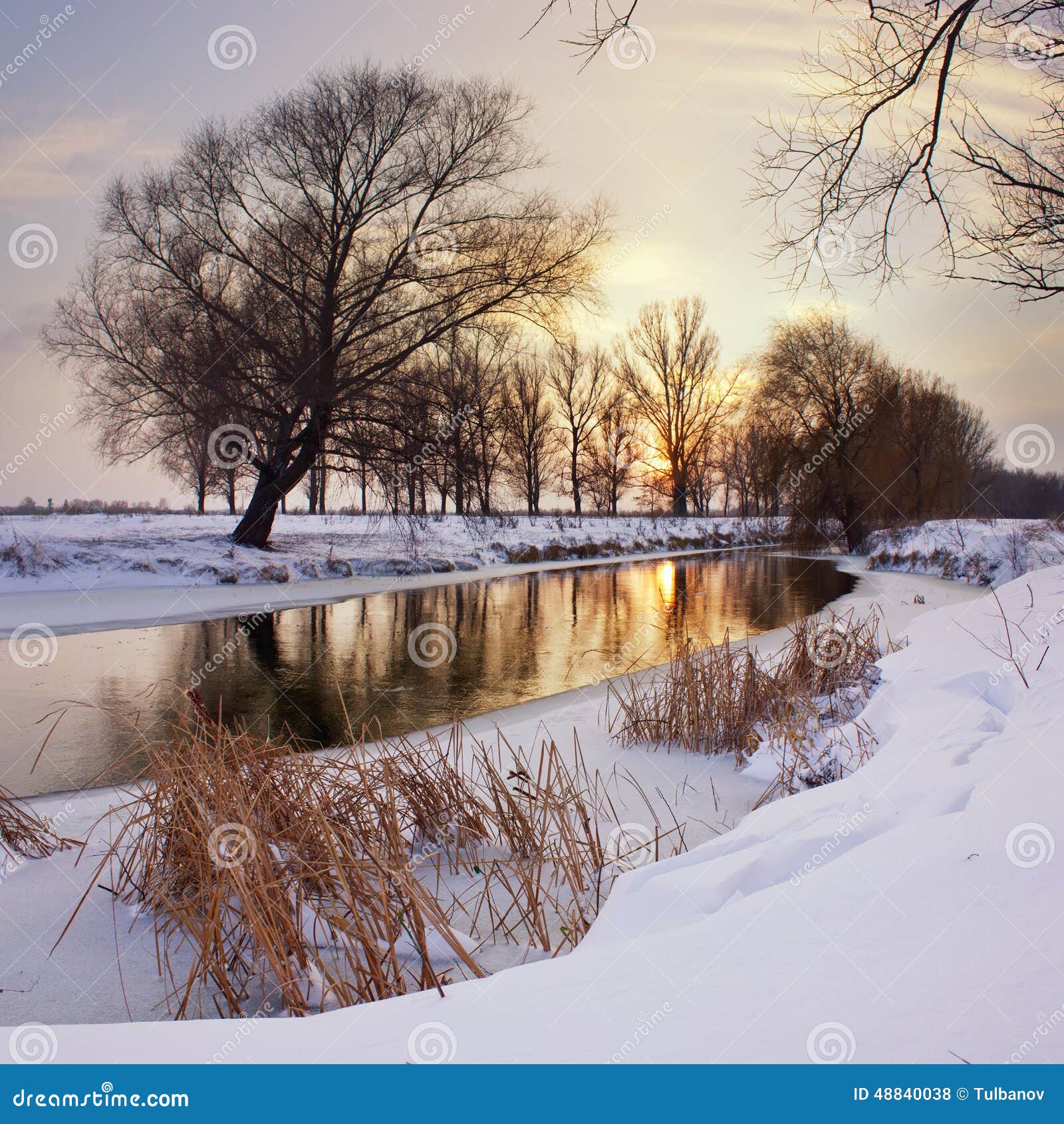 Winter sunset stock photo. Image of snow, season, tree - 48840038