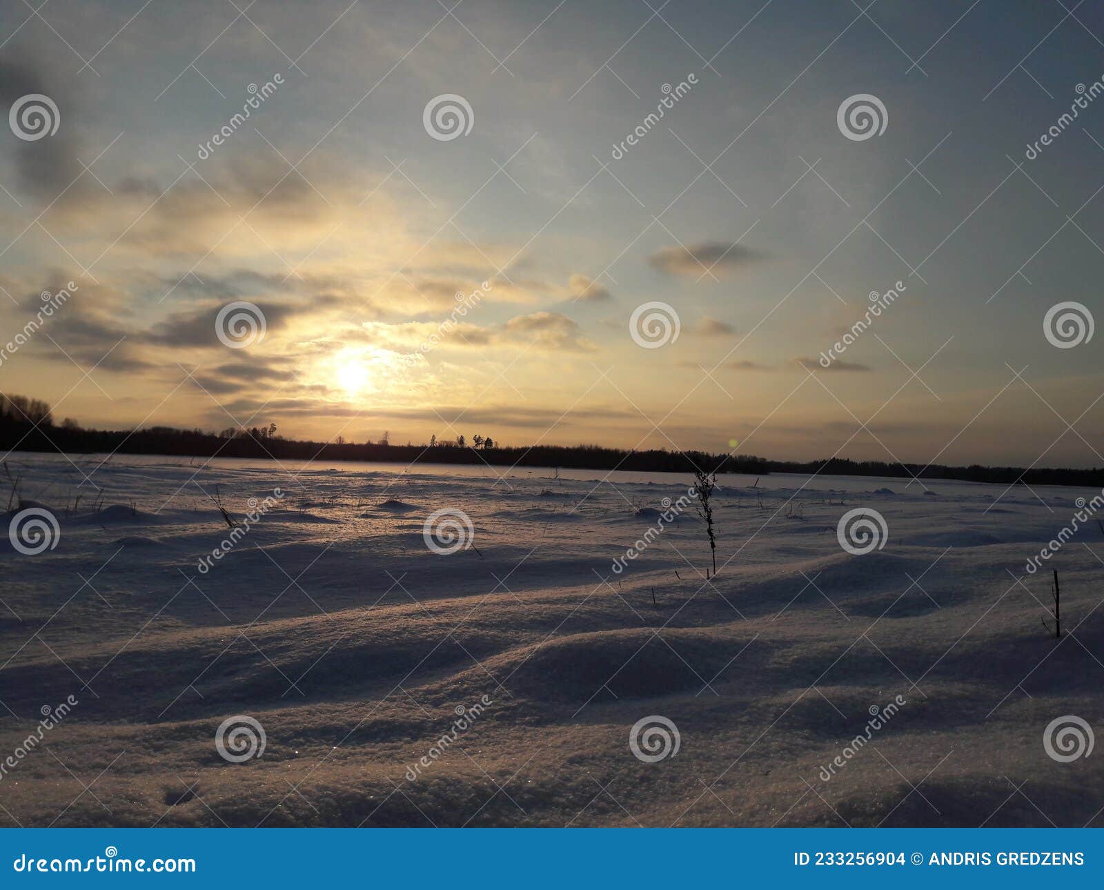 Winter sunset stock photo. Image of snowy, blue, sunset - 233256904