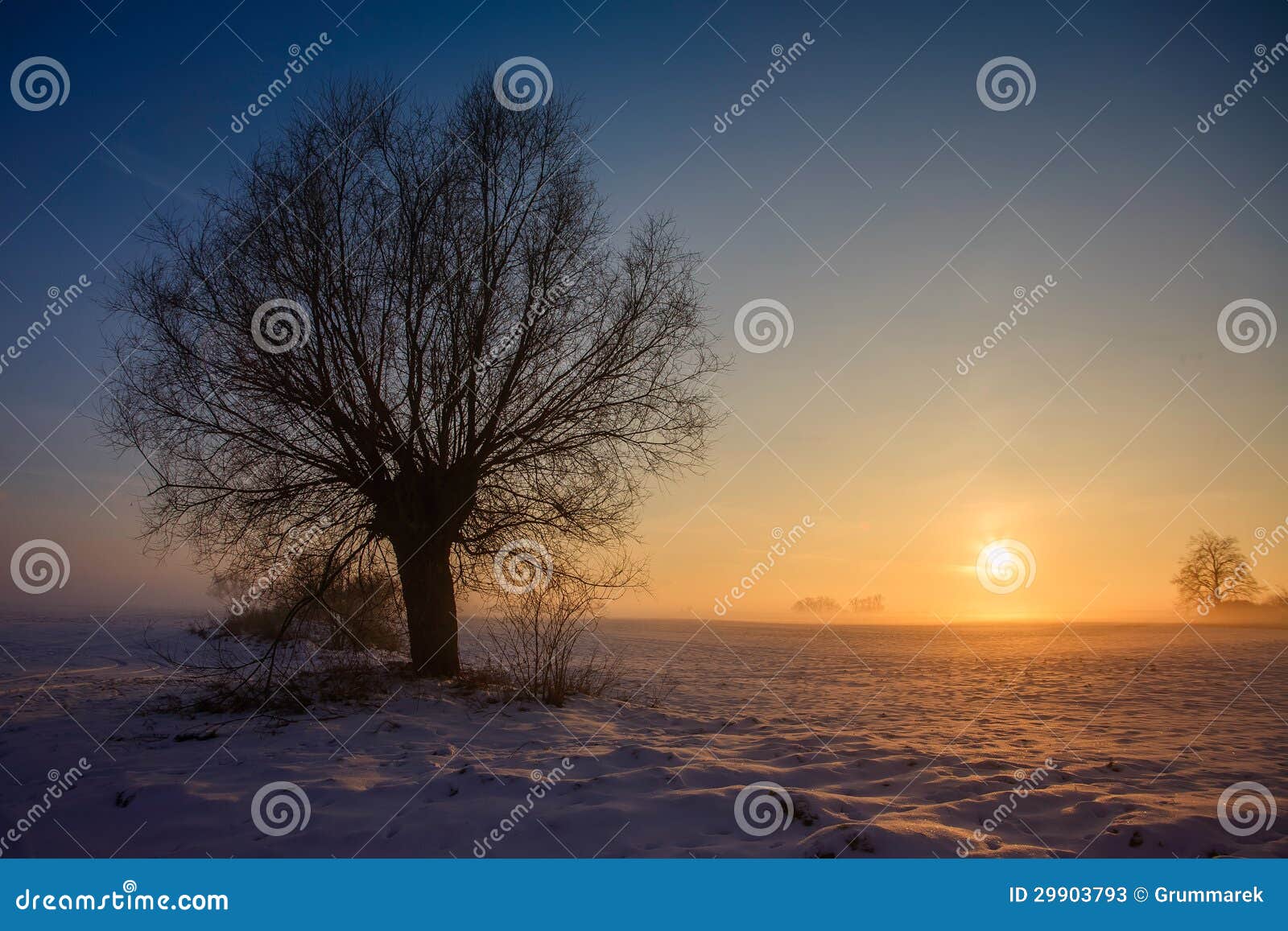 Winter sunset stock image. Image of yellow, field, land - 29903793