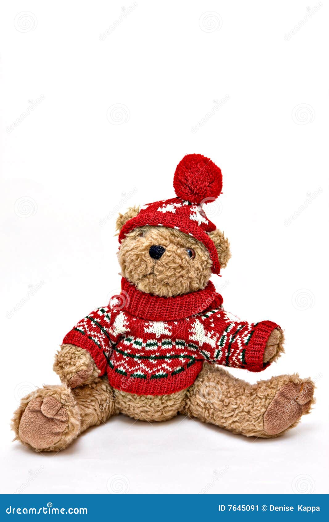 Winter Sweater Bear stock image. Image of christmas, gift - 7645091