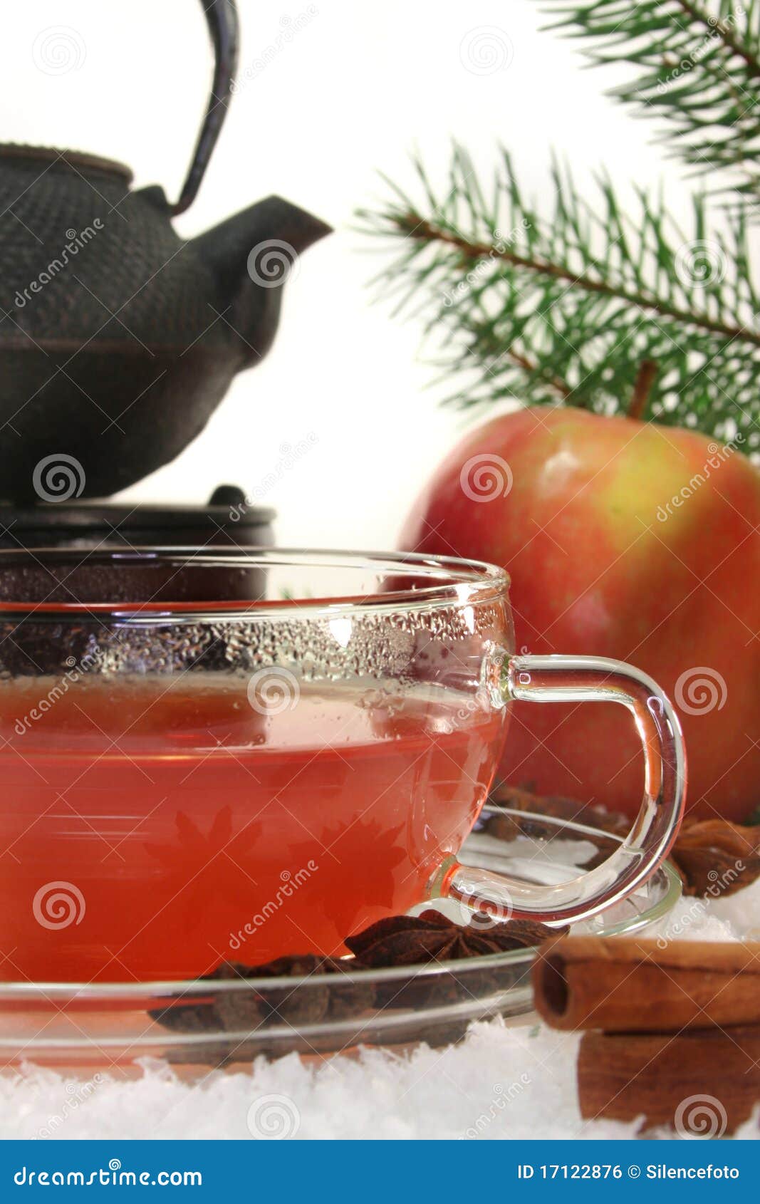 Winter tea stock photo. Image of cinnamon, fruit, orange - 17122876