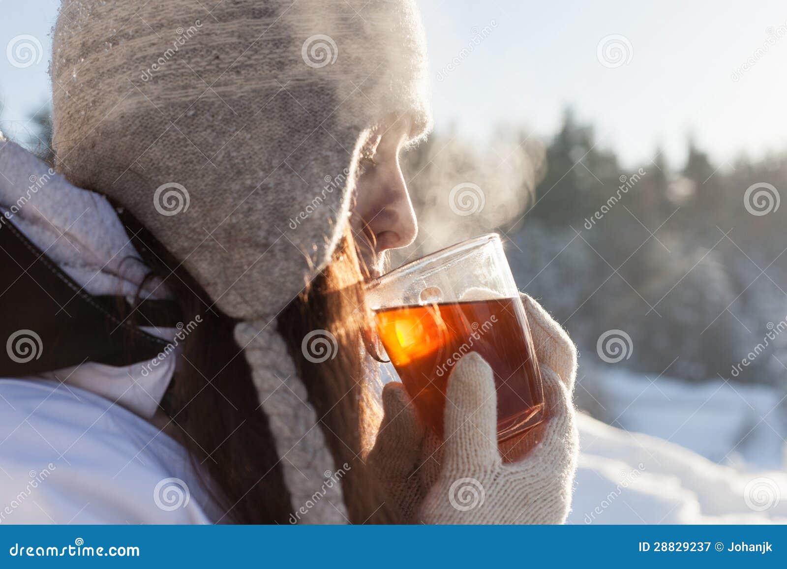 Winter tea stock image. Image of adult, aroma, beautiful - 28829237