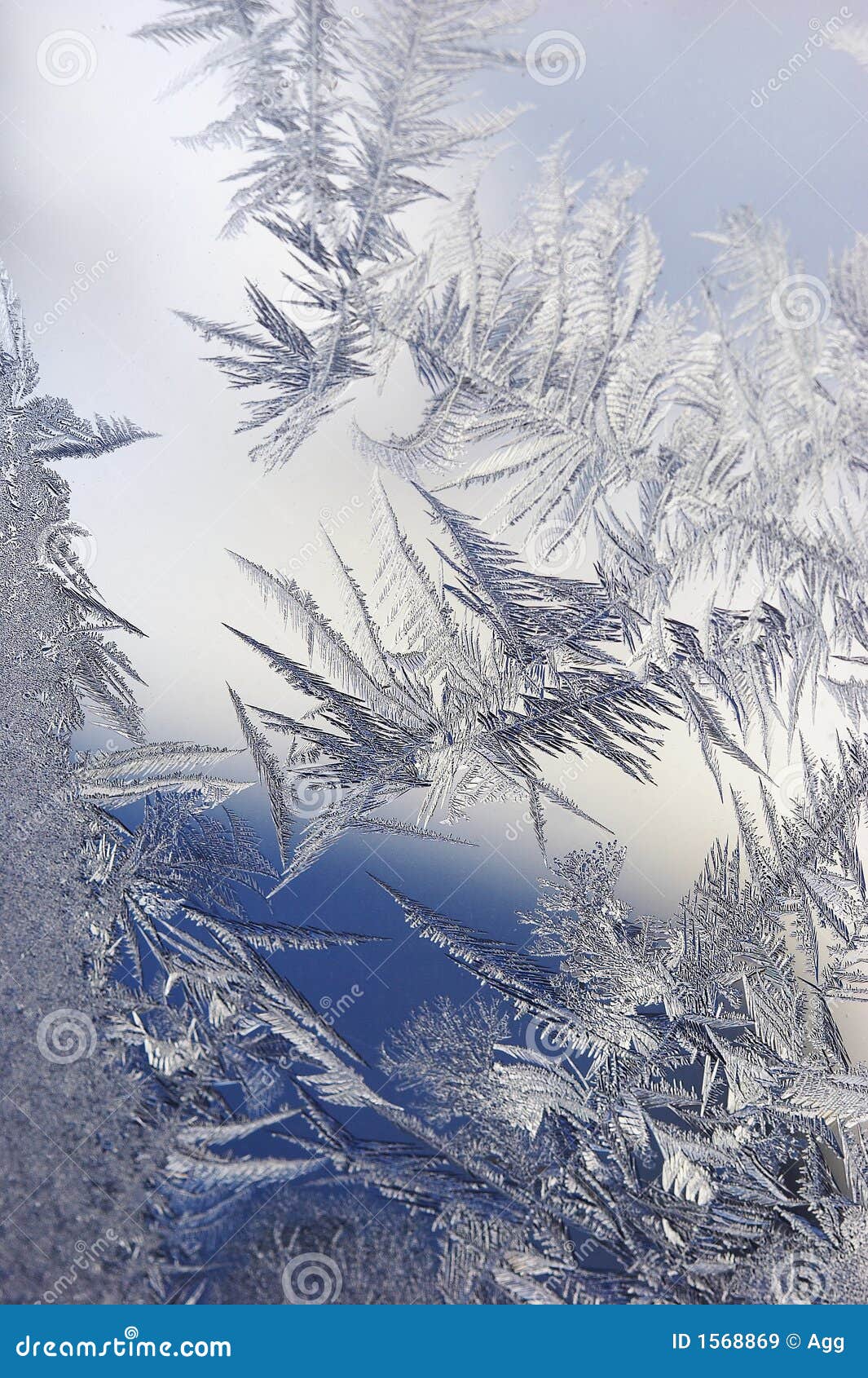Winter texture stock image. Image of tracery, holiday - 1568869