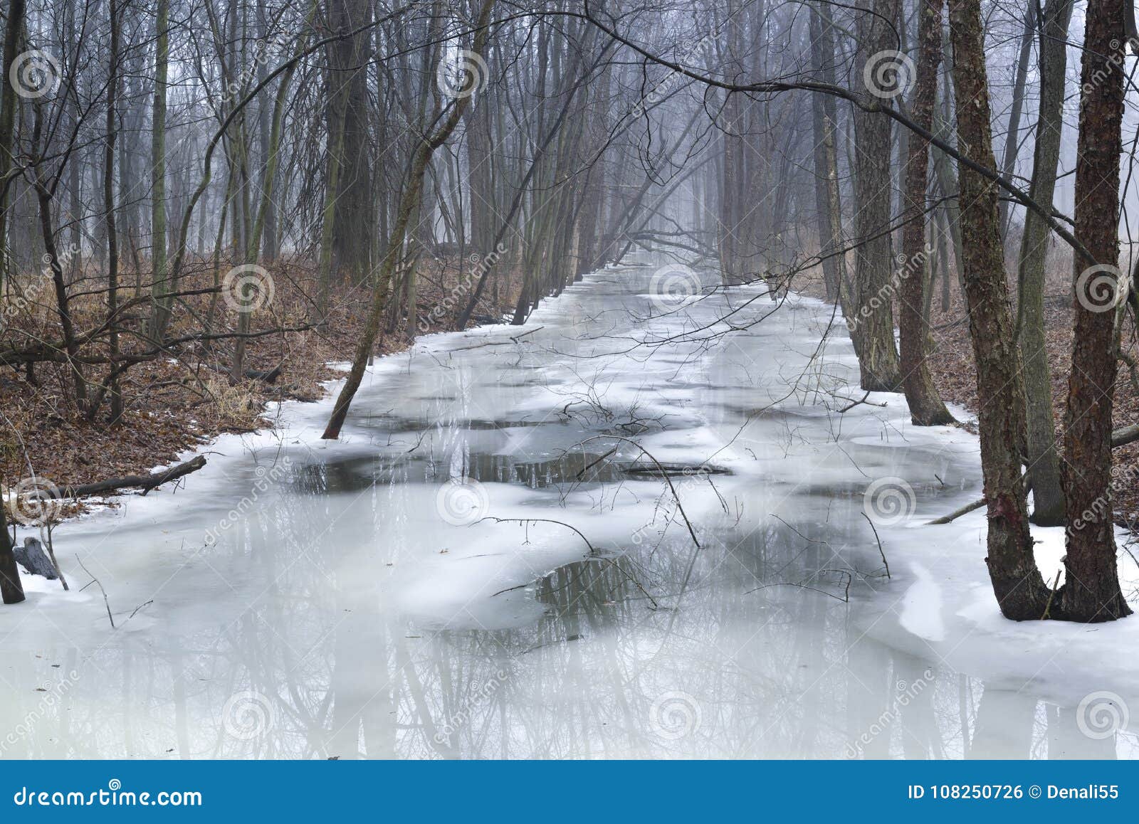 Winter Thaw in Midwest Forest. Stock Photo - Image of cold, indiana ...