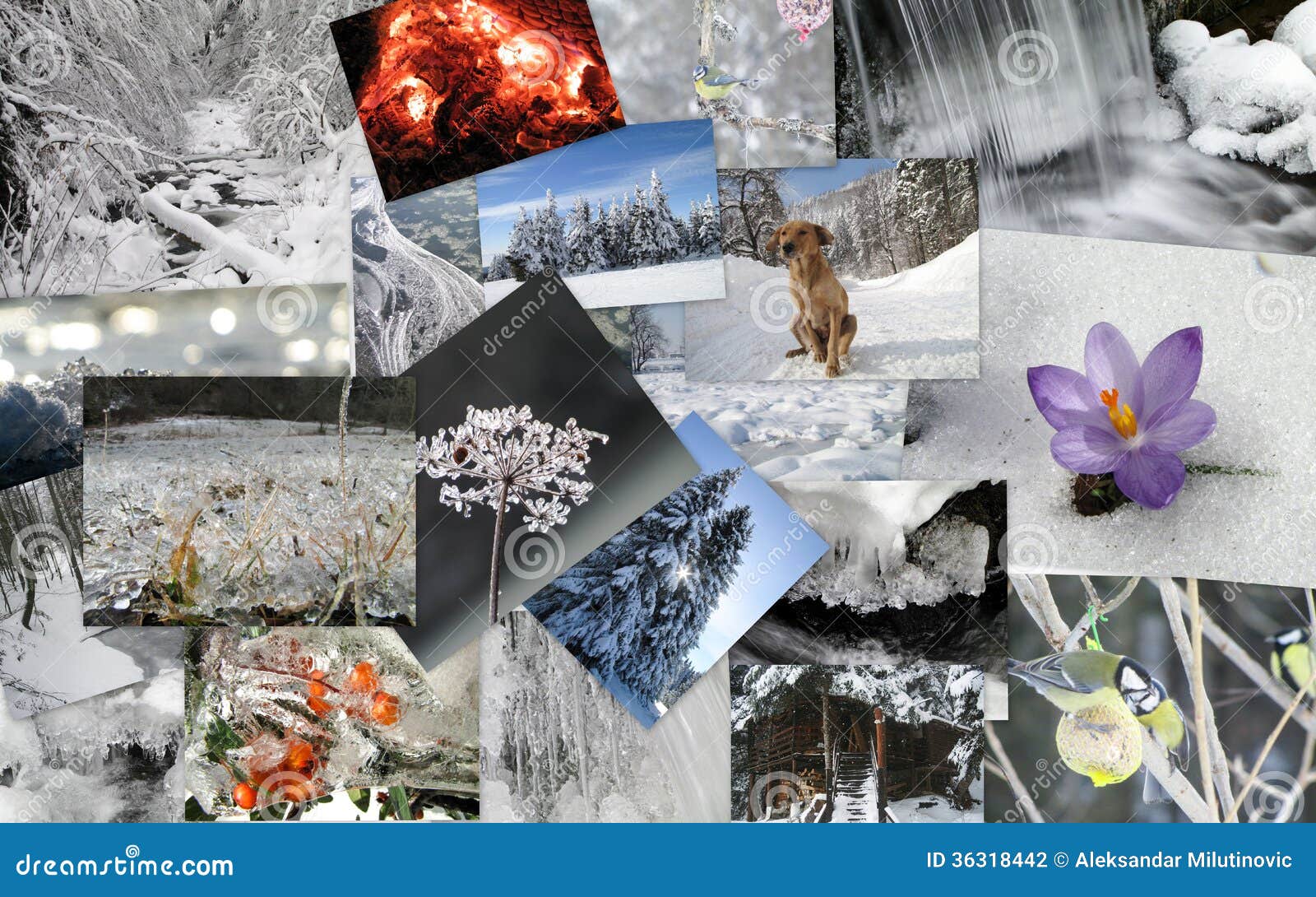 Winter theme collage stock photo. Image of mountain, climate - 36318442