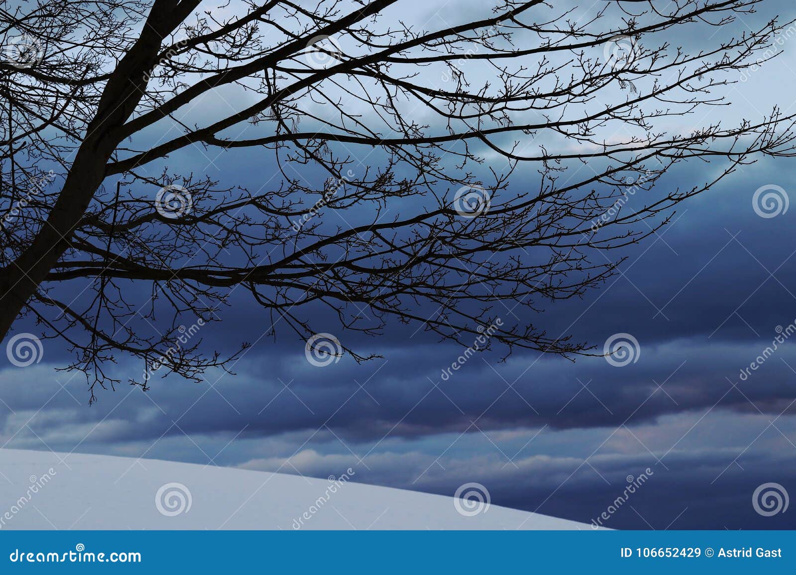 Winter Thunderstorm with Blizzard Stock Image - Image of snowing ...
