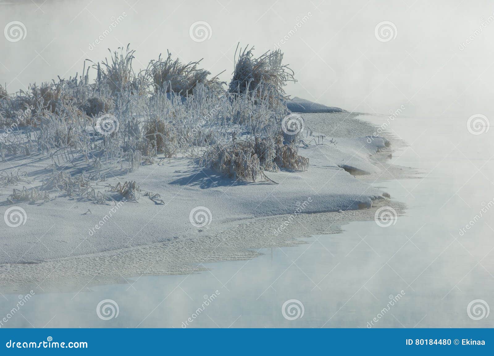 Winter, Winter-tide, Winter-time Stock Photo - Image of hoar, frosty ...
