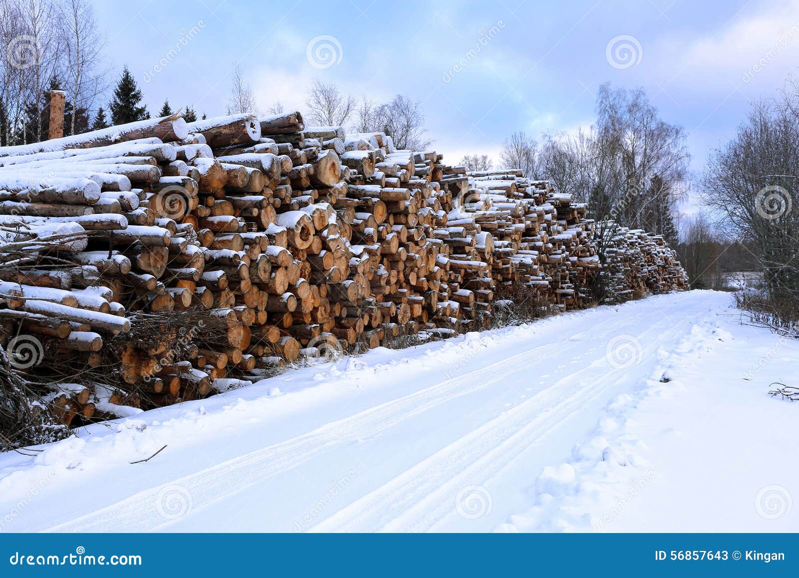 Winter timber harvesting stock image. Image of sawmill - 56857643