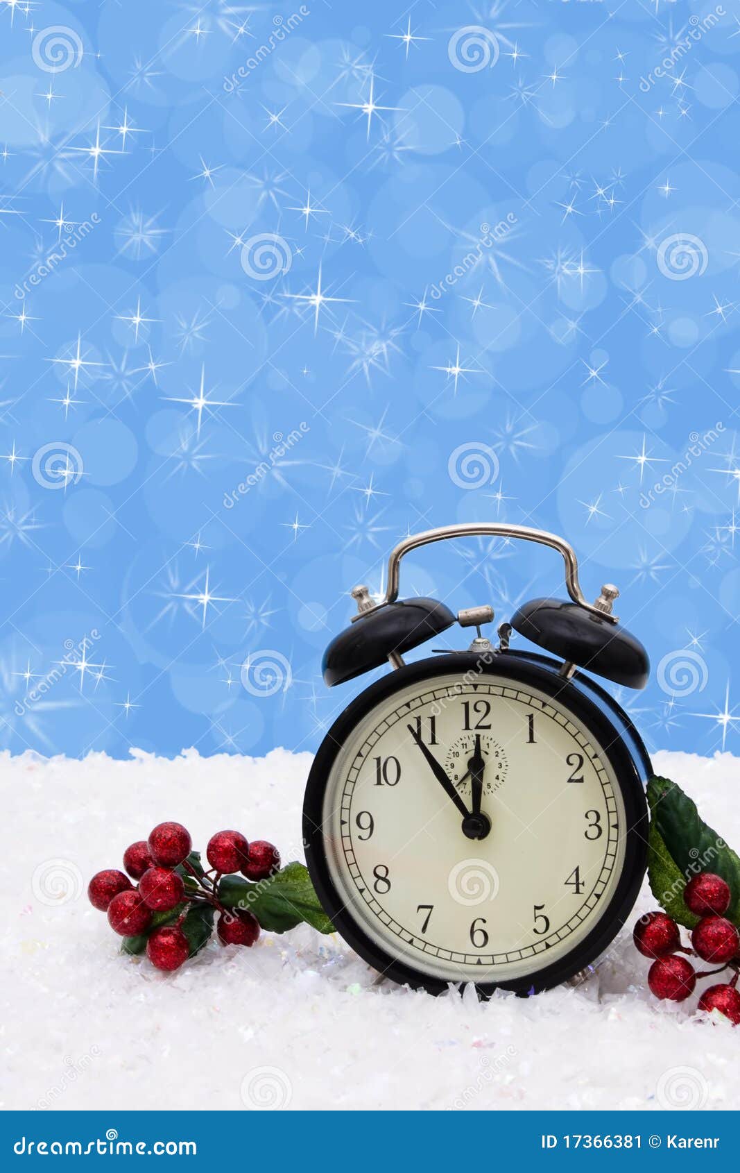 Winter Time stock image. Image of leaves, background - 17366381