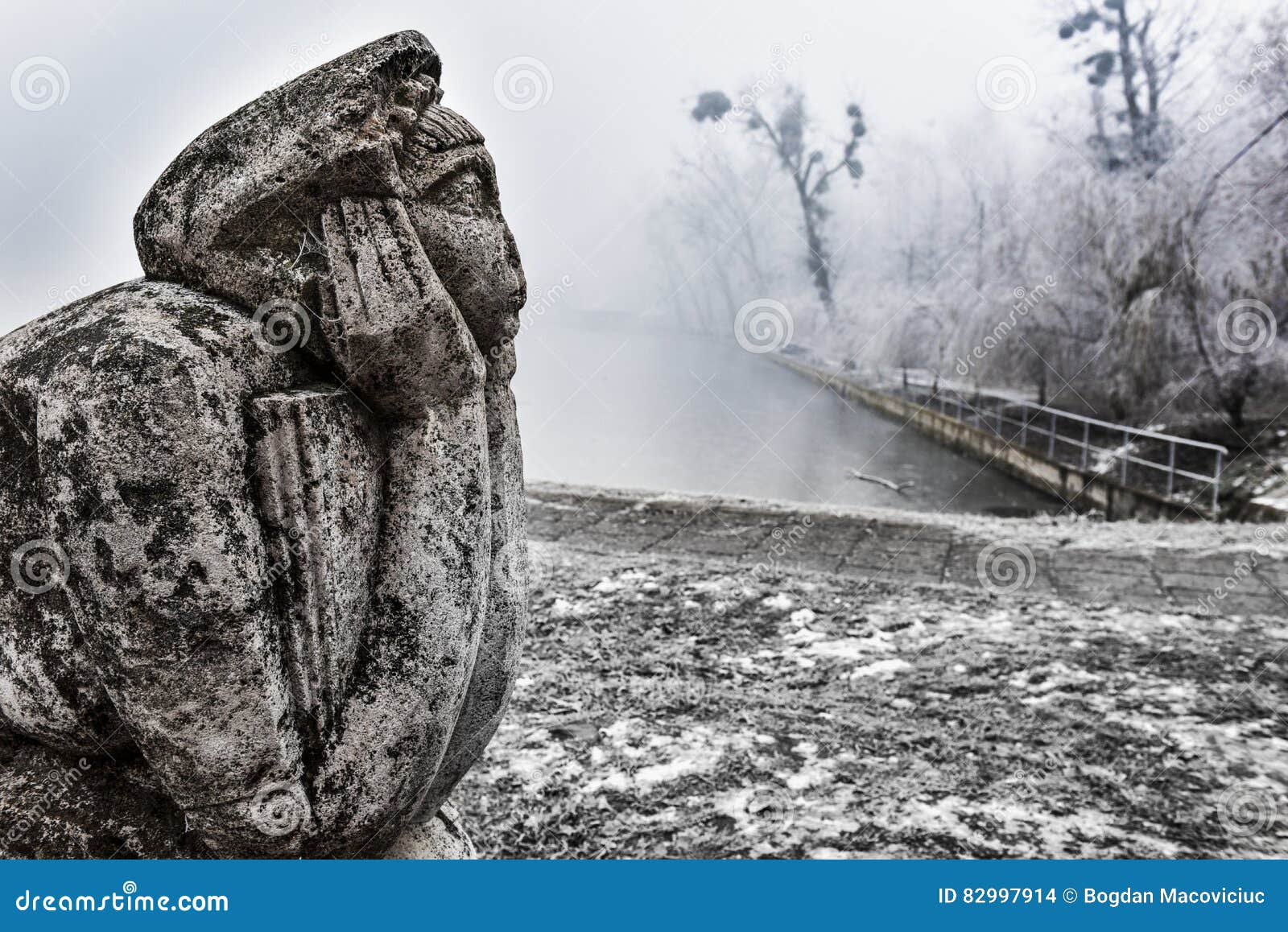 Winter time stock photo. Image of nature, beautiful, digest - 82997914