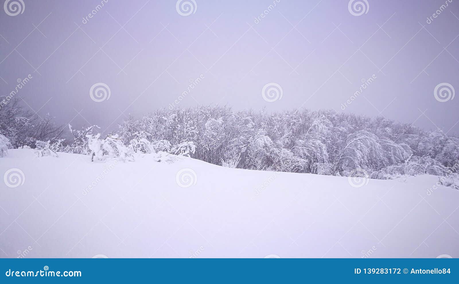 Winter time stock photo. Image of time, outdoor, cold - 139283172