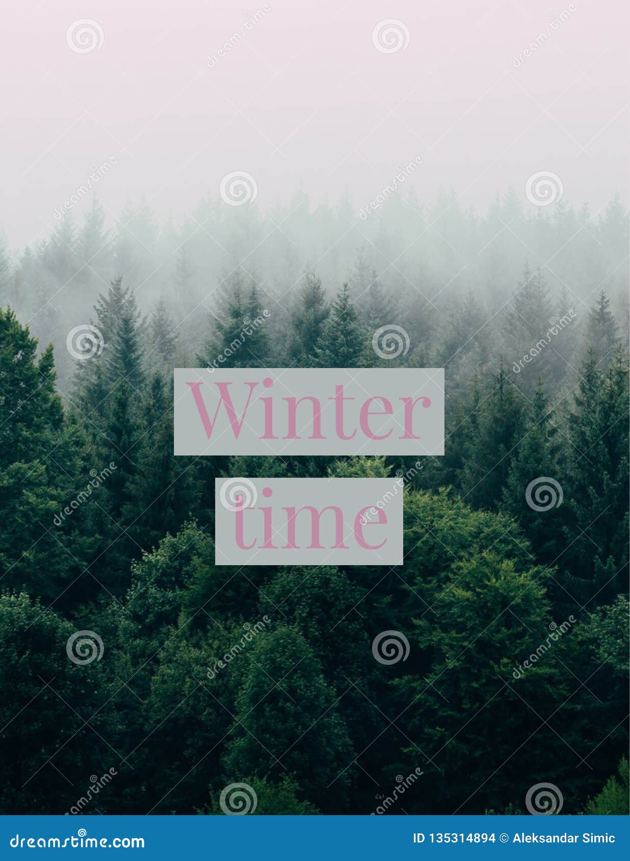 Winter time stock photo. Image of green, time, tree - 135314894