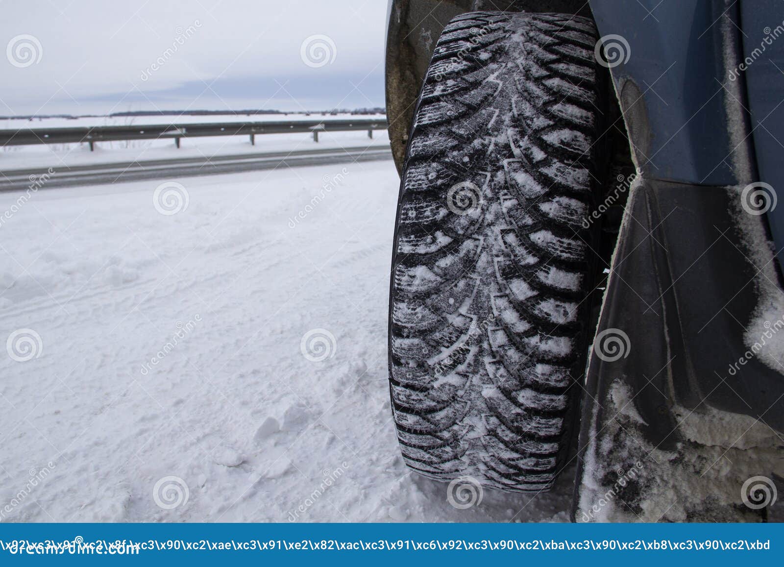 Winter tire on a car wheel stock photo. Image of frosts - 209181238