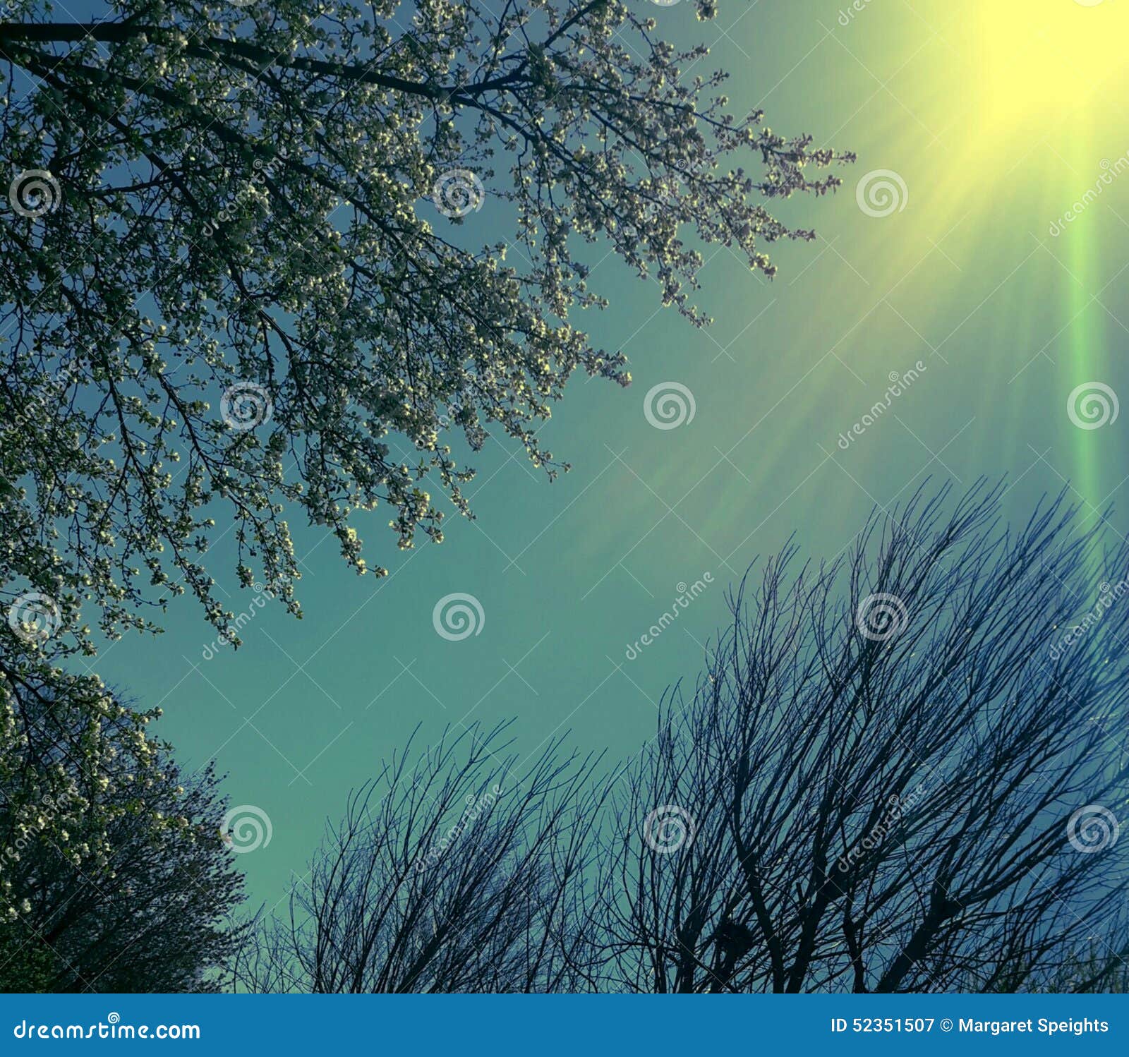 WInter to Spring stock image. Image of seasons, winter - 52351507