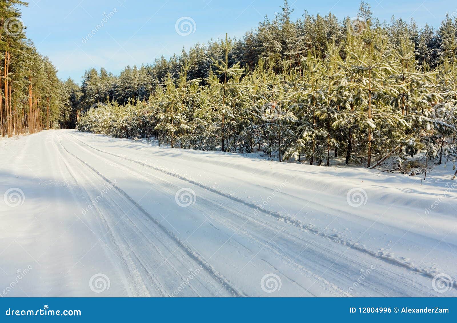 Winter track stock photo. Image of forest, sunny, landscape - 12804996