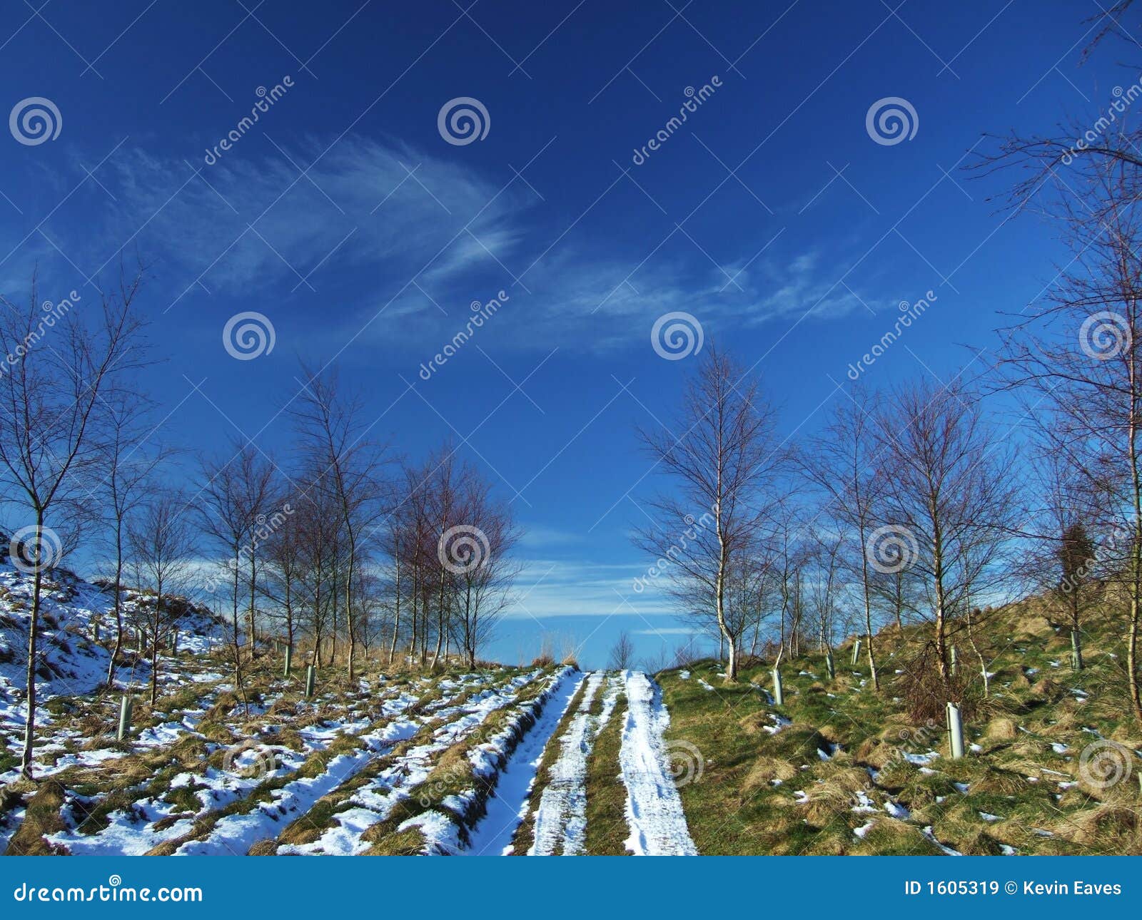 Winter track stock image. Image of grass, district, remote - 1605319
