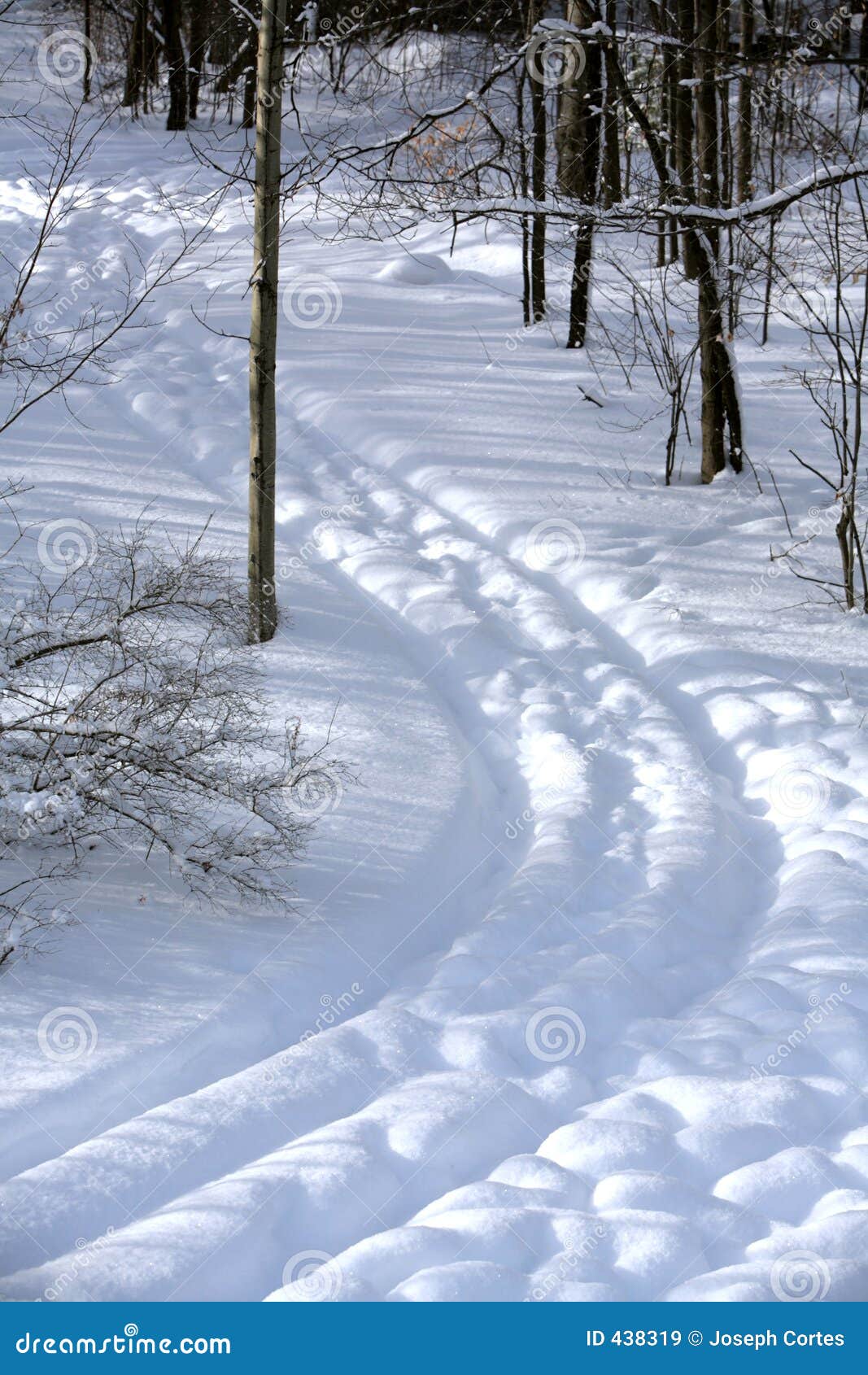 Winter tracks stock image. Image of landscape, travel, house - 438319