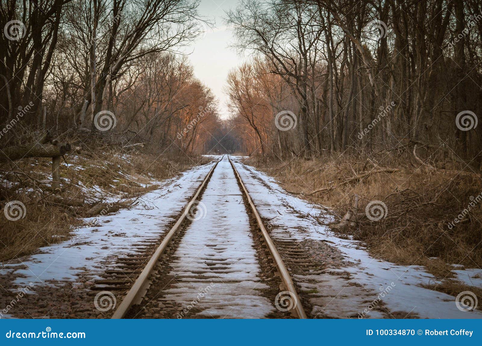 Winter Tracks stock photo. Image of winter, railroad - 100334870
