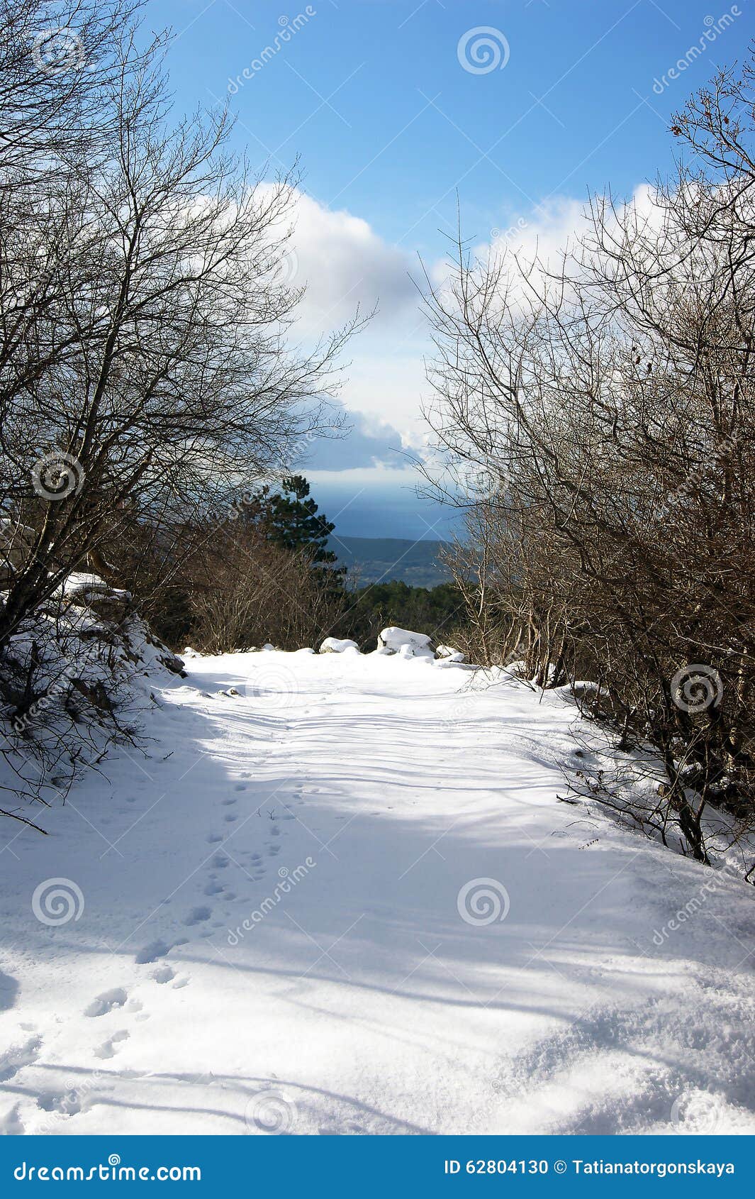 Winter trail stock photo. Image of limb, nature, footprints - 62804130