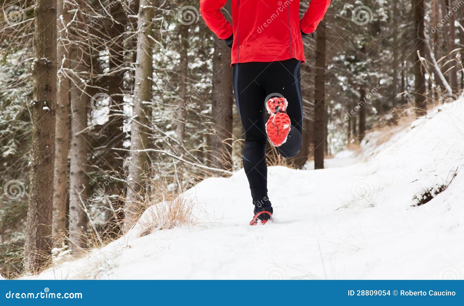 Winter trail running stock photo. Image of exercise, caucasian - 28809054