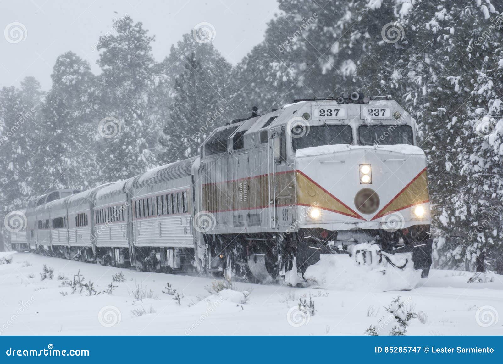 Winter Train Ride stock image. Image of trees, snowstorm - 85285747