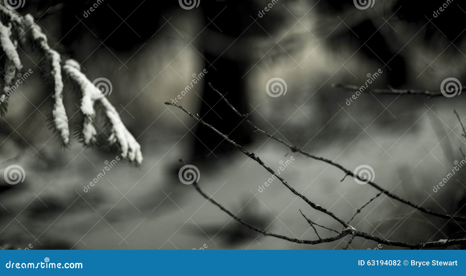 Winter Transitioning into Fall Stock Photo - Image of winter, blog ...
